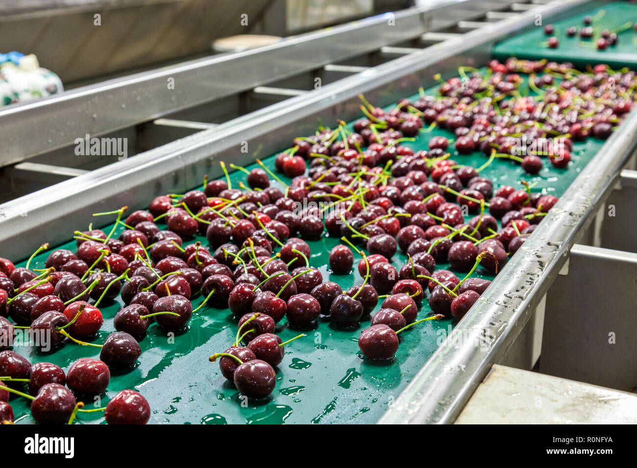 Fruit packing line machine hi-res stock photography and images - Alamy
