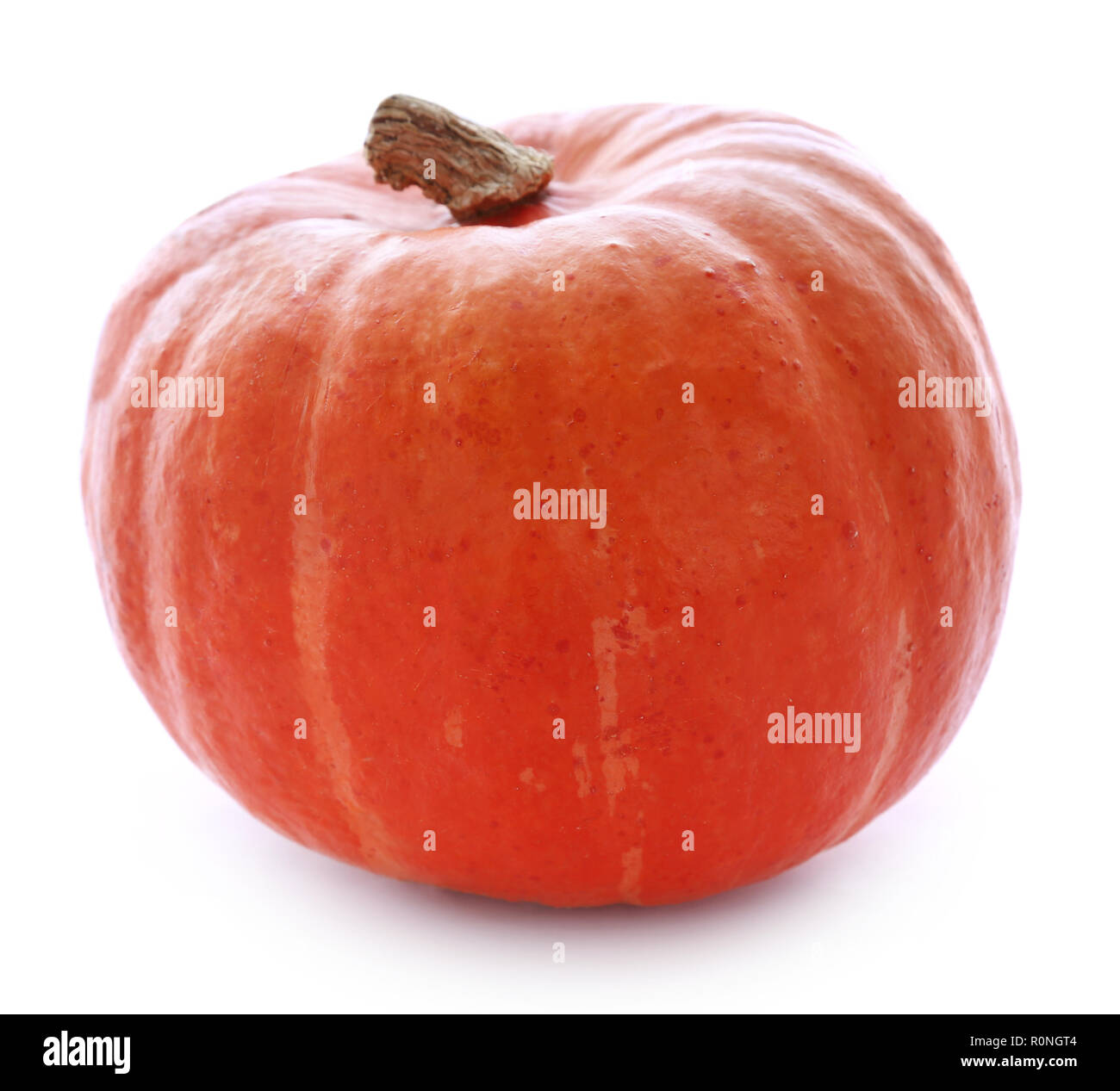 Autumn background white pumpkins Cut Out Stock Images & Pictures - Alamy