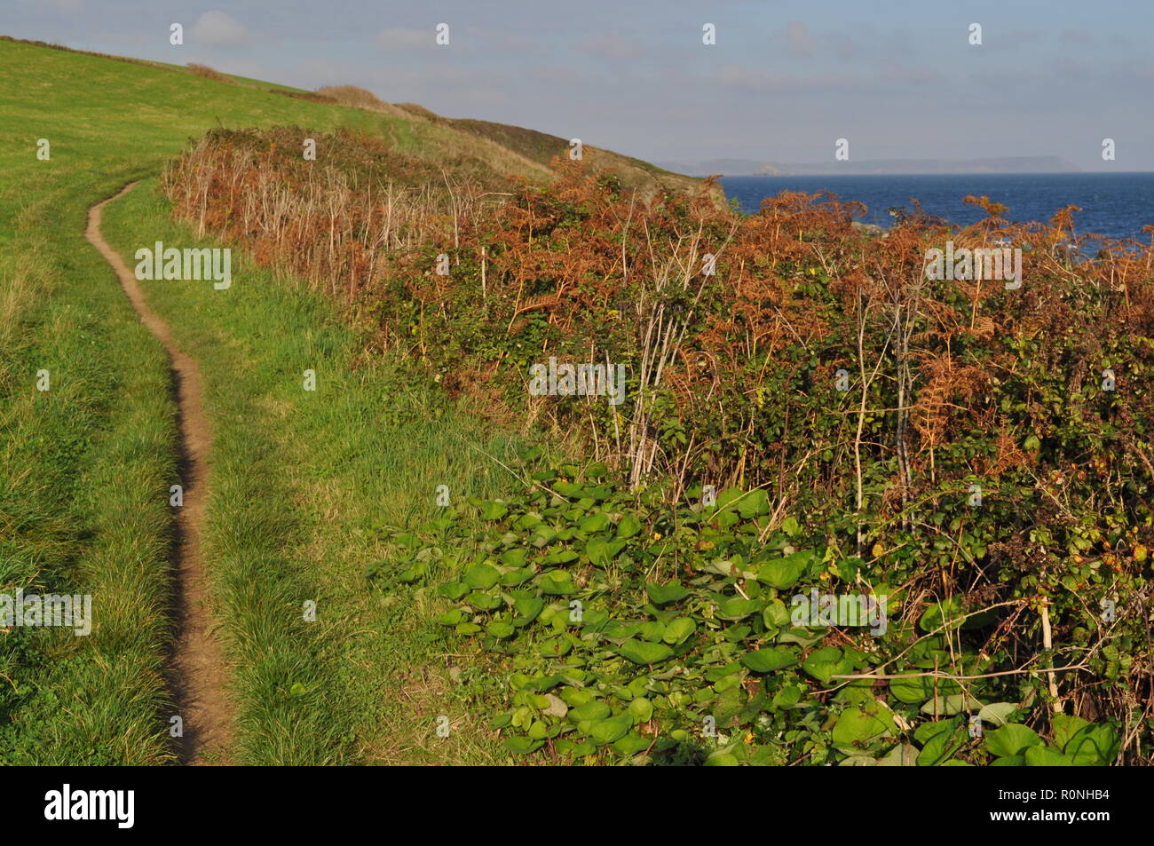 Sw Coastal Path High Resolution Stock Photography and Images - Alamy