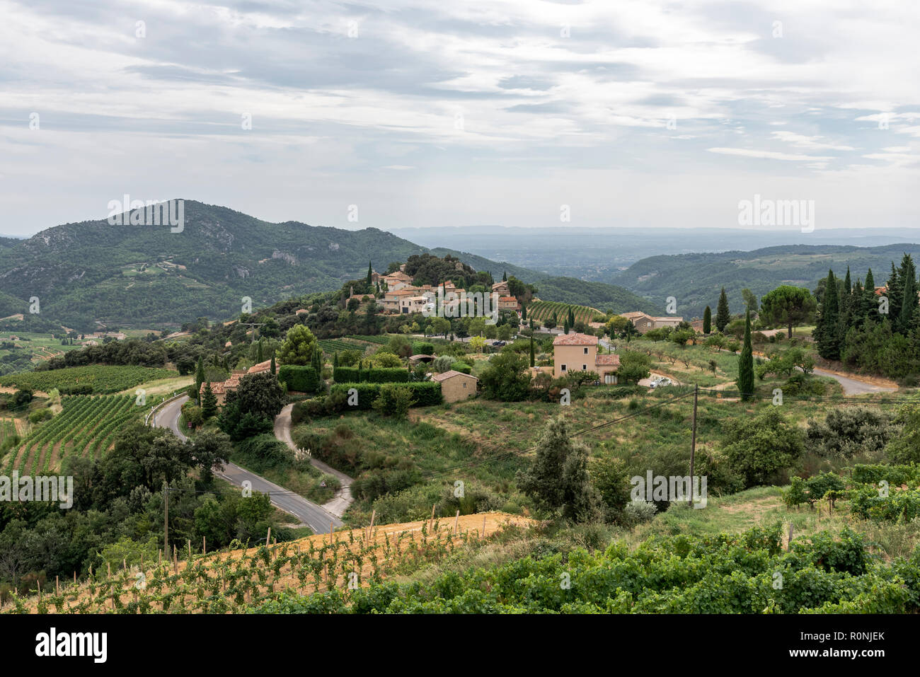 France French Cypress Trees High Resolution Stock Photography and ...
