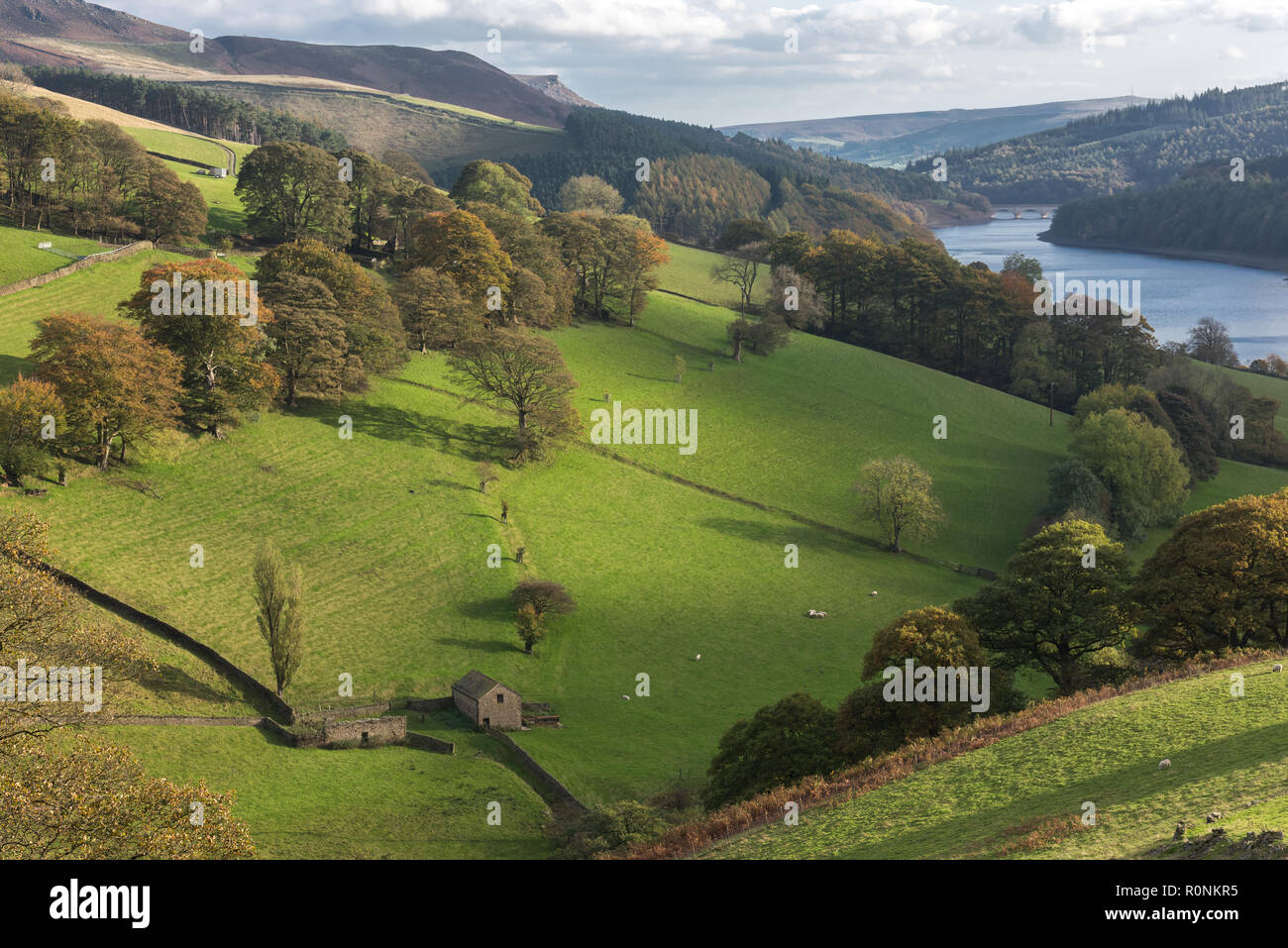Autumn in the Upper Derwent Valley, Peak District National Park, UK ...