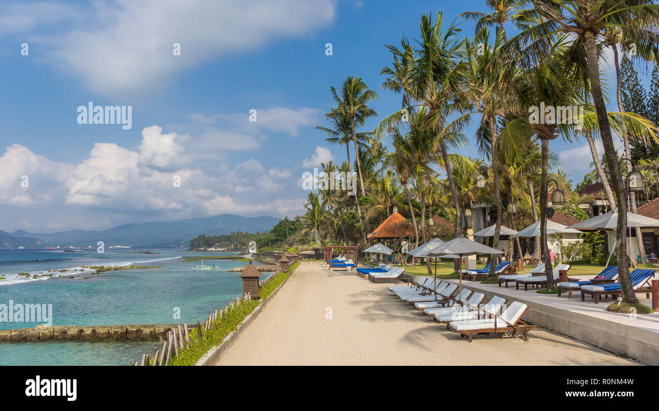 Sunbeds under palm trees hi-res stock photography and images - Alamy