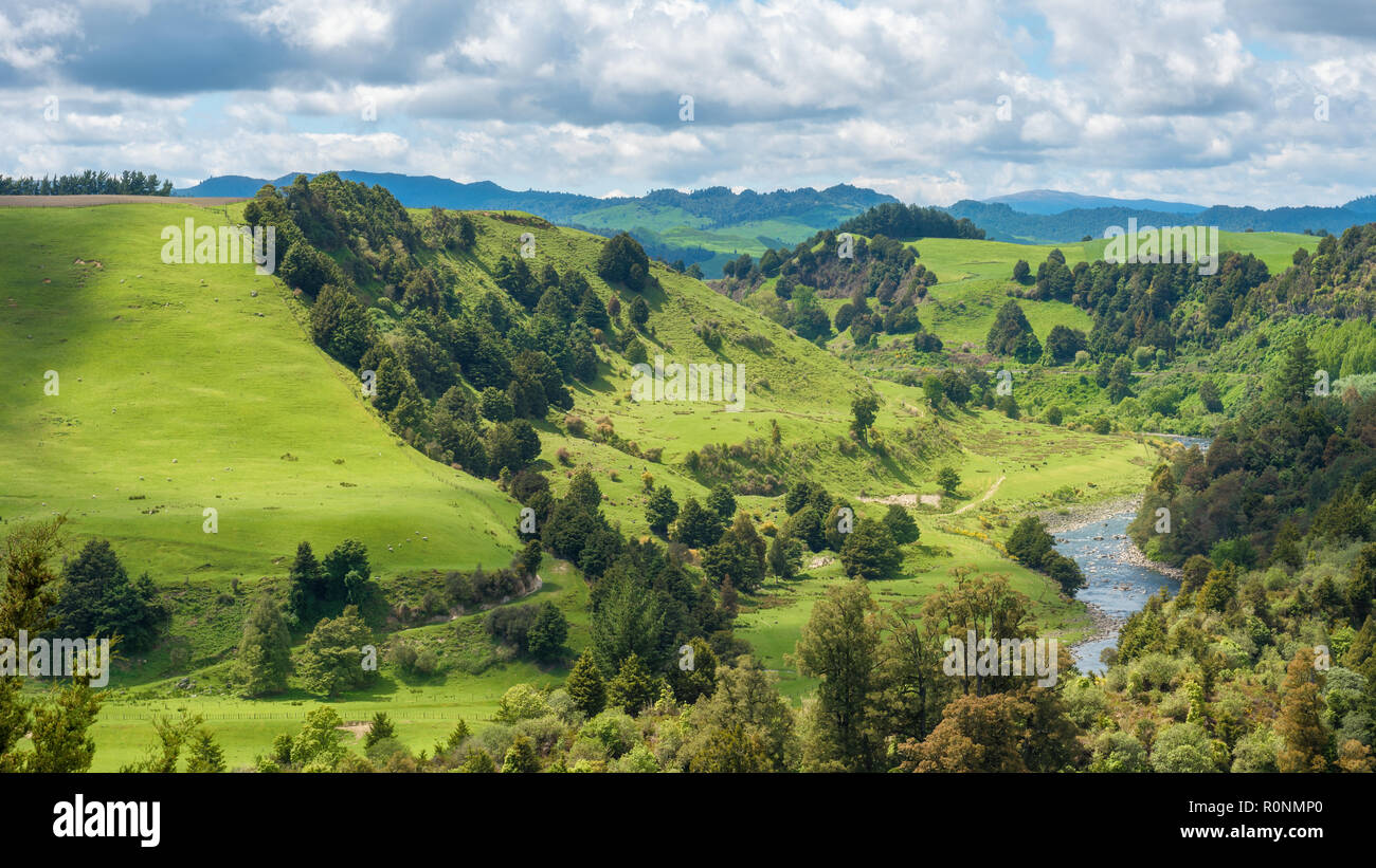 Whanganui river flowing through lush countryside as seen from Piriaka ...