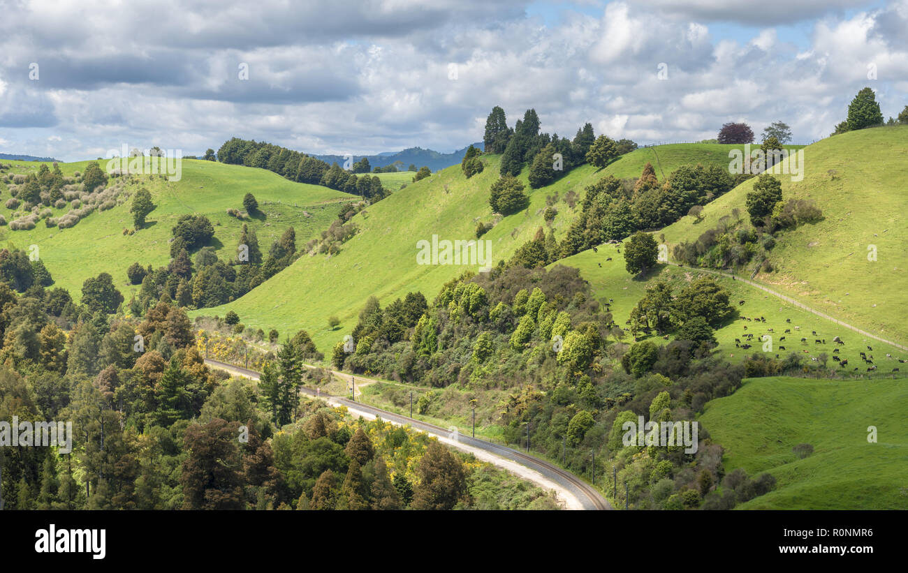 a railway track winding through green countryside as seen from Piriaka ...
