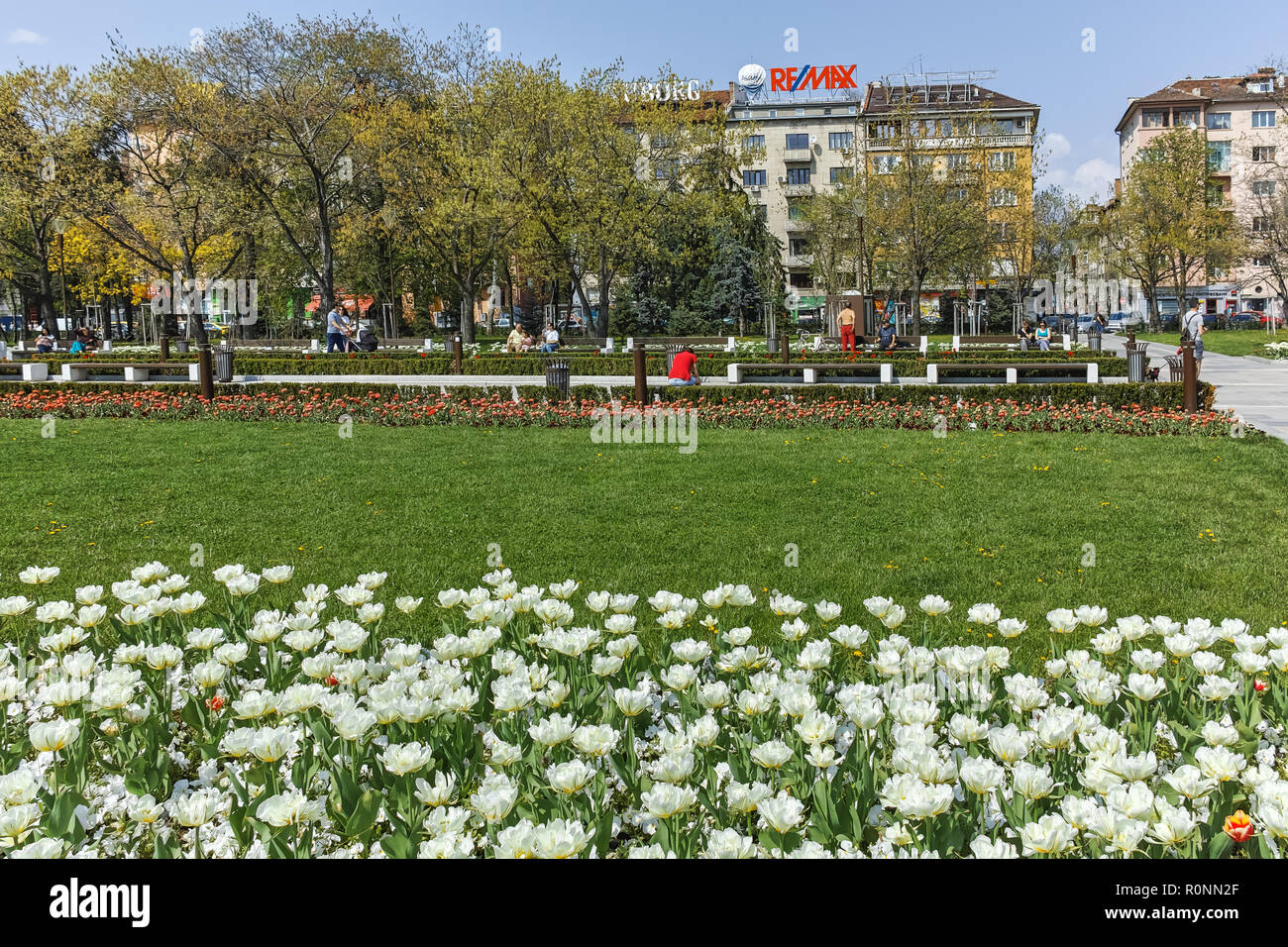 Bulgaria National Flower