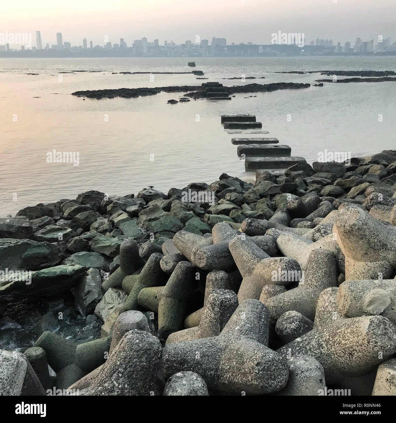 Tetrapod Structure High Resolution Stock Photography and Images - Alamy