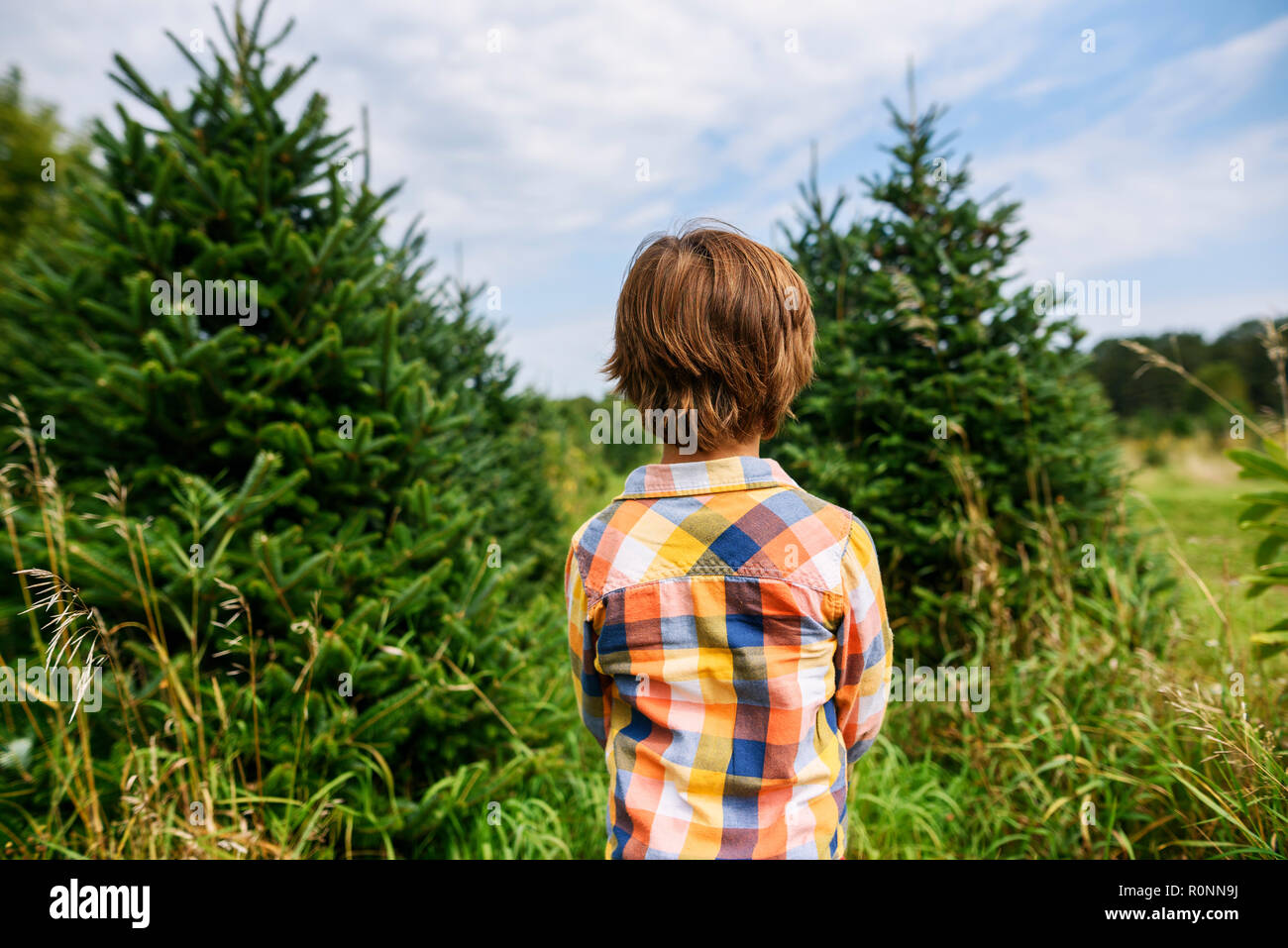 Farm boy standing hi-res stock photography and images - Alamy