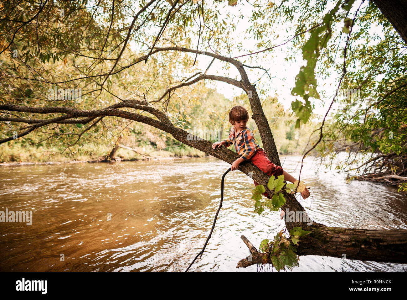 Boy climbing tree barefoot hi-res stock photography and images - Alamy