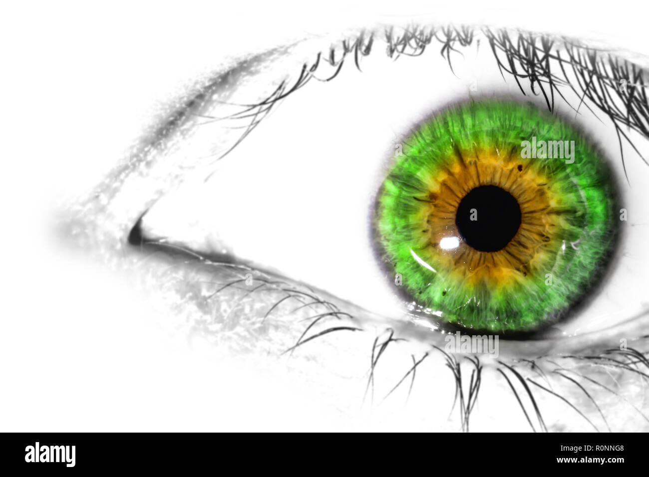 Colorful human eye macro close-up texture on white background Stock ...