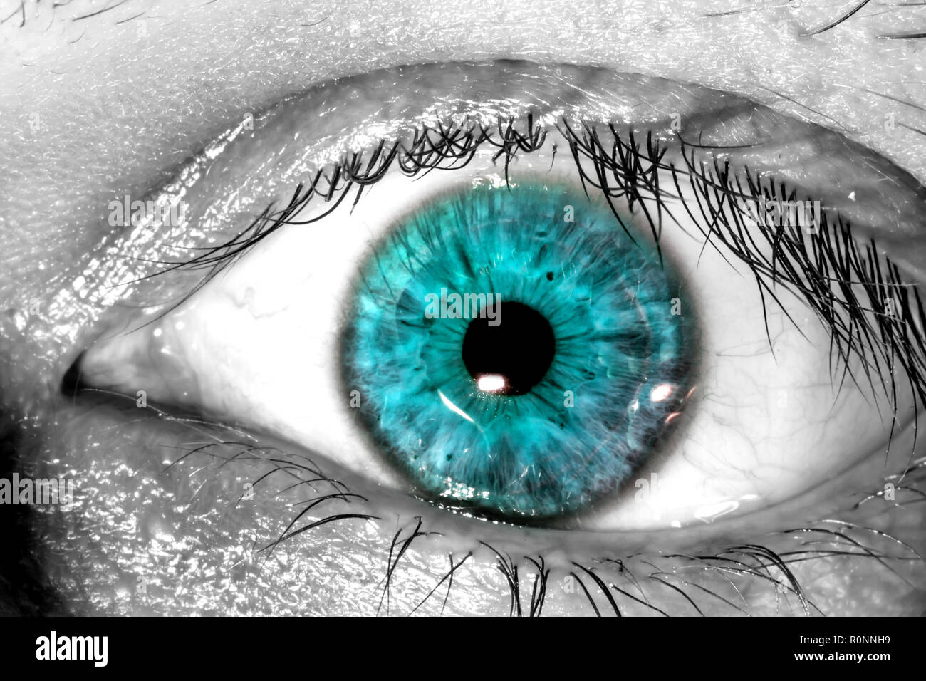 Blue human eye macro close-up texture background Stock Photo - Alamy