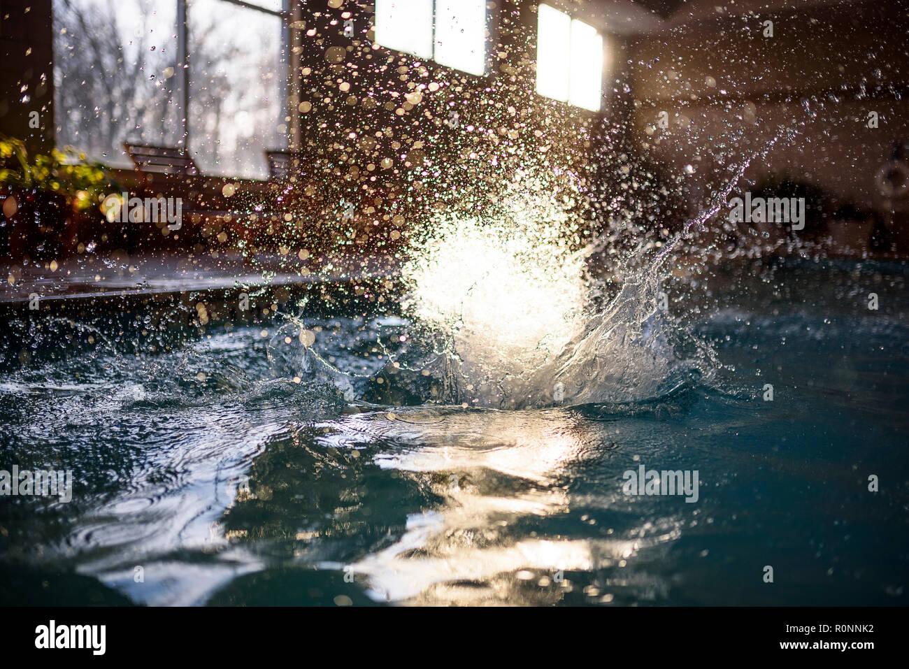 Women diving into a swimming pool hi-res stock photography and images ...