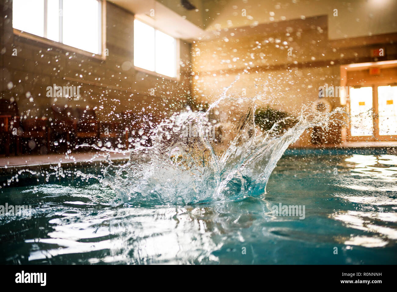 Women diving into a swimming pool hi-res stock photography and images ...