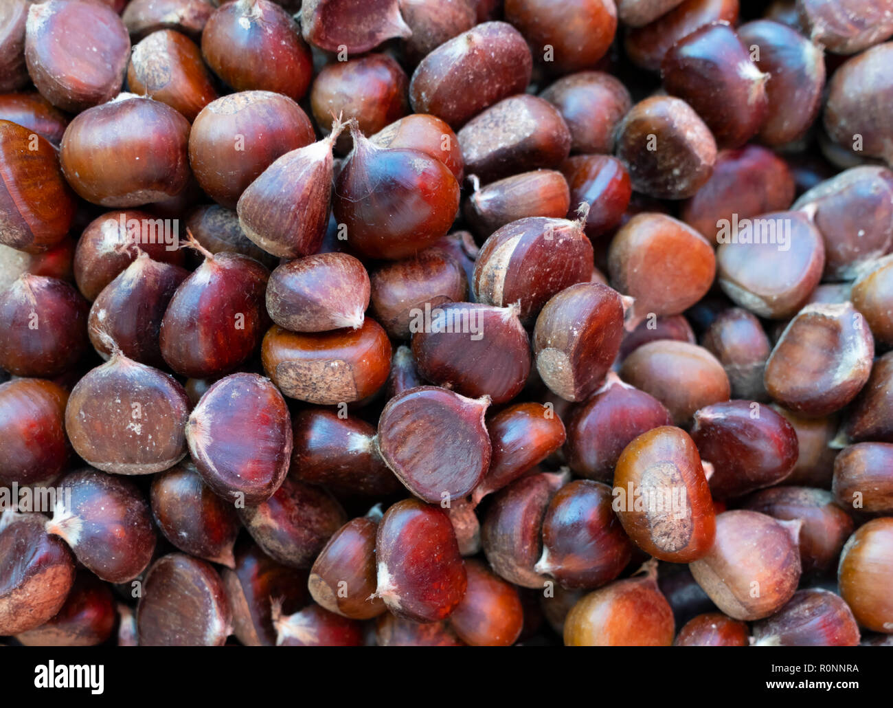 Chestnut background. Can be used for design, websites, interior ...