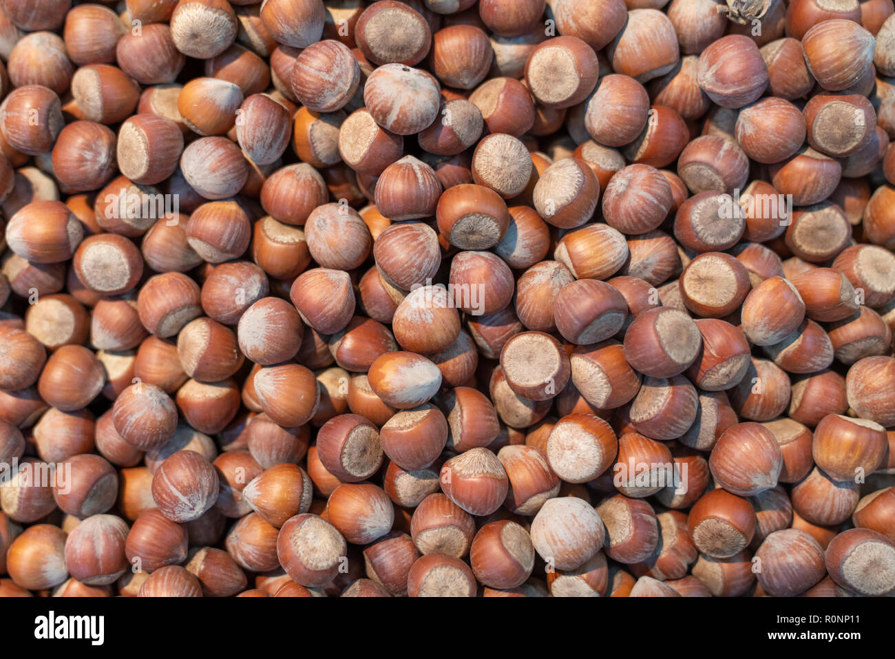 Hazelnut background. Can be used for design, websites, interior ...