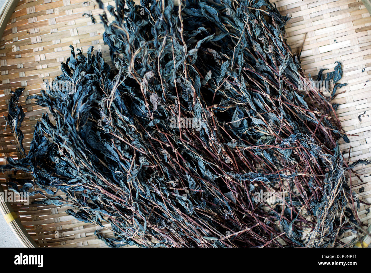 Indigo plant dye hi-res stock photography and images - Alamy