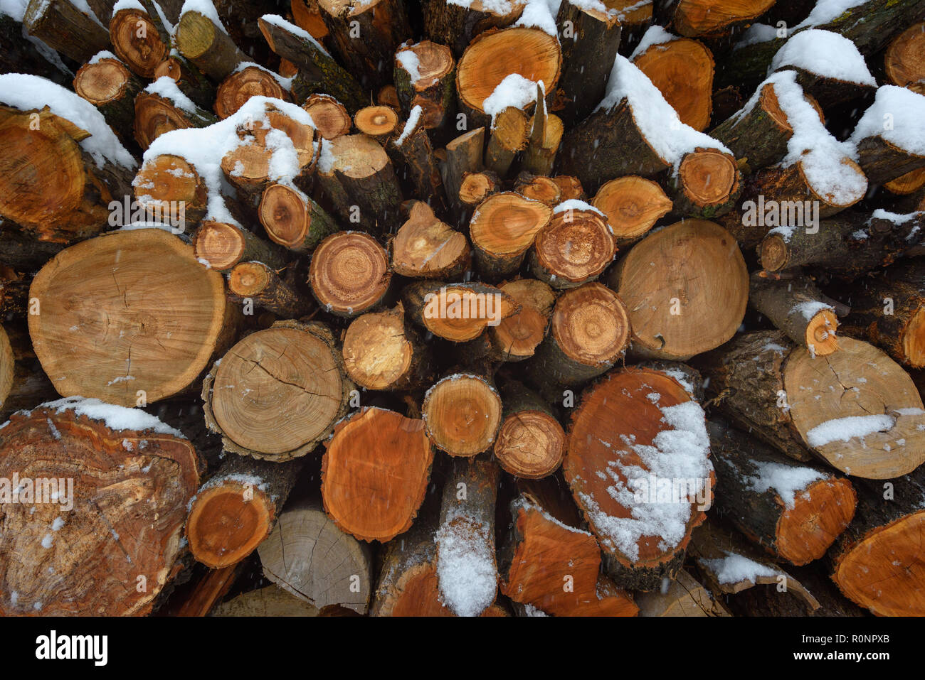 Faces of logs in winter. Woodpile of firewood under snow. Abstract ...