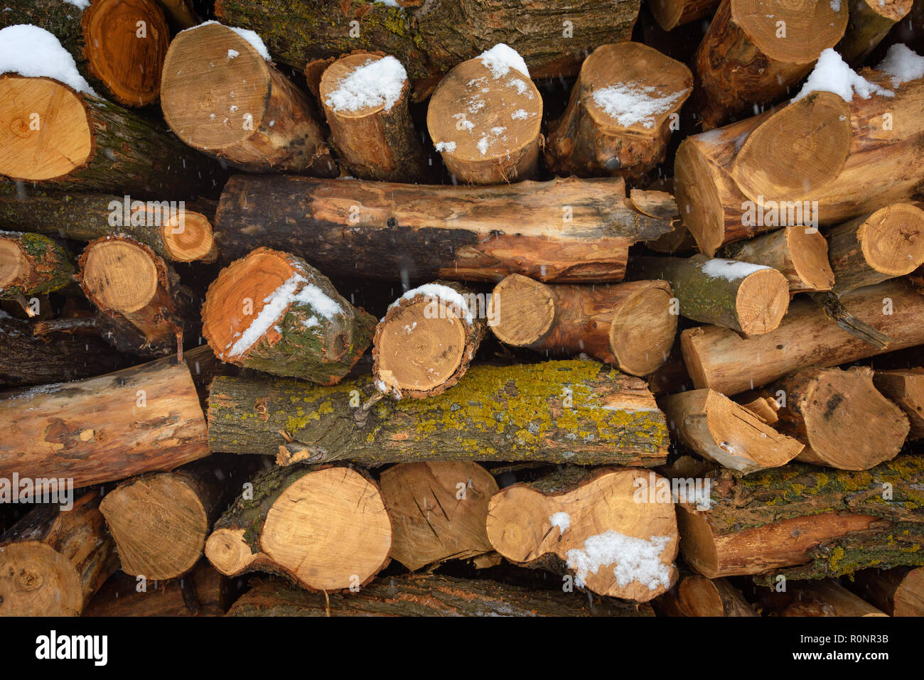 Faces of logs in winter. Woodpile of firewood under snow. Abstract ...