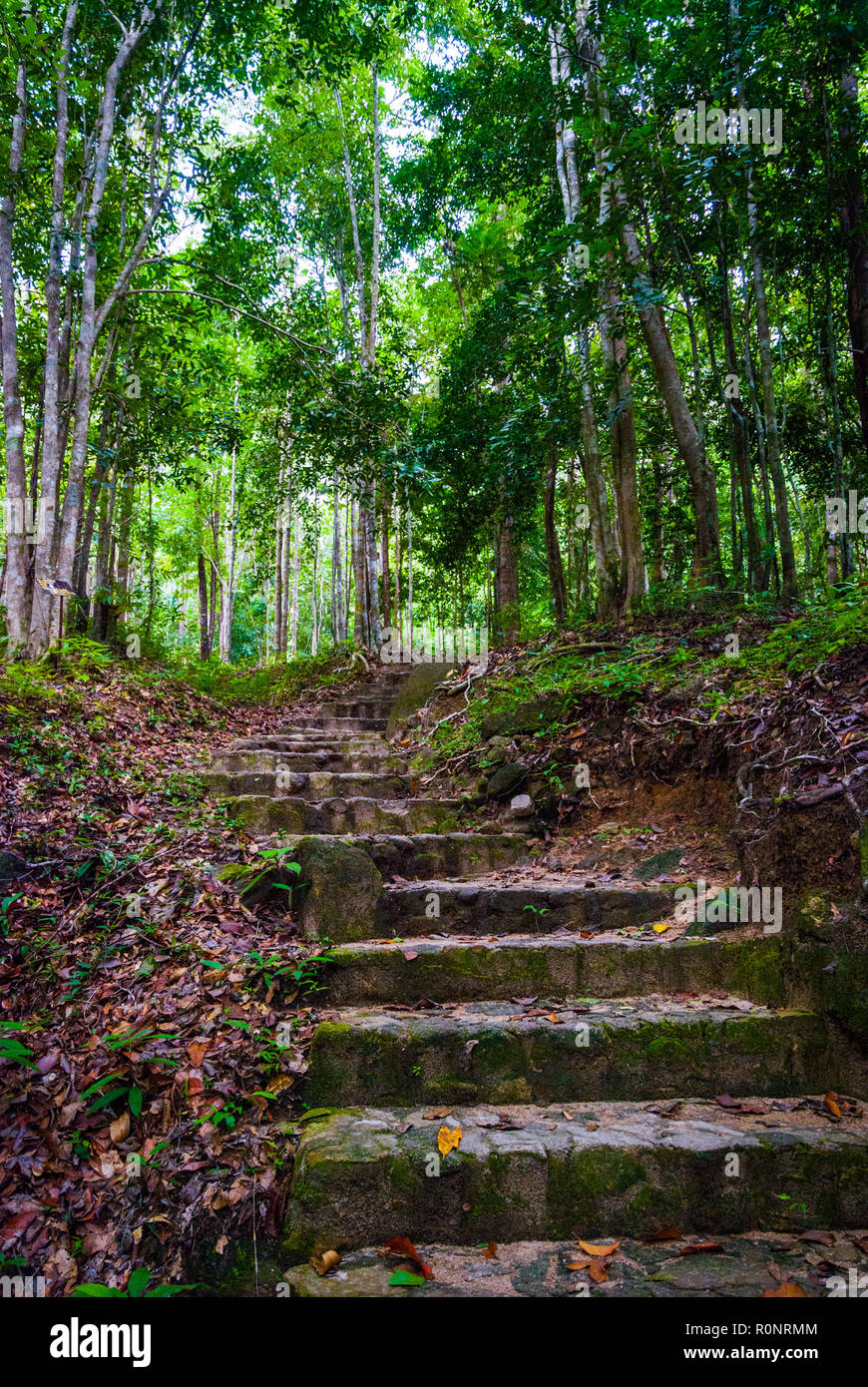 View ancient stairs leading hi-res stock photography and images - Alamy