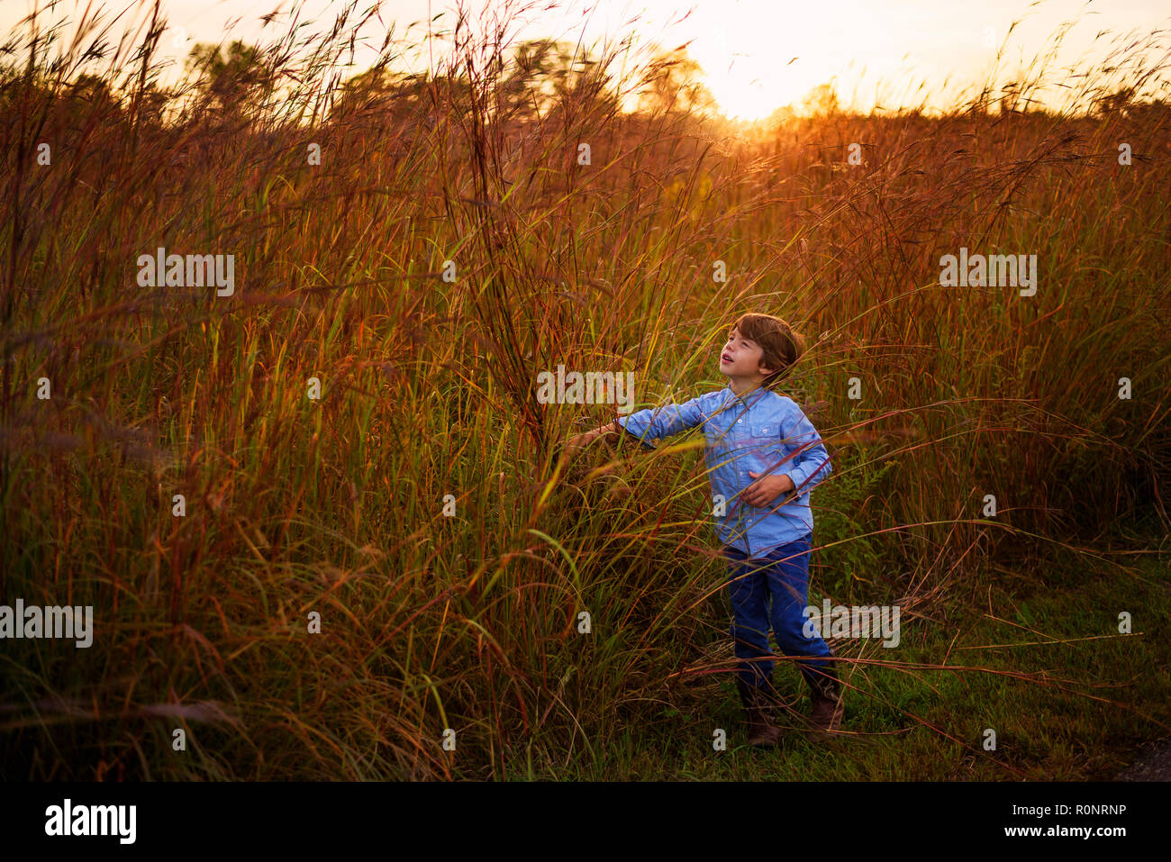 Child touching grass hi-res stock photography and images - Alamy