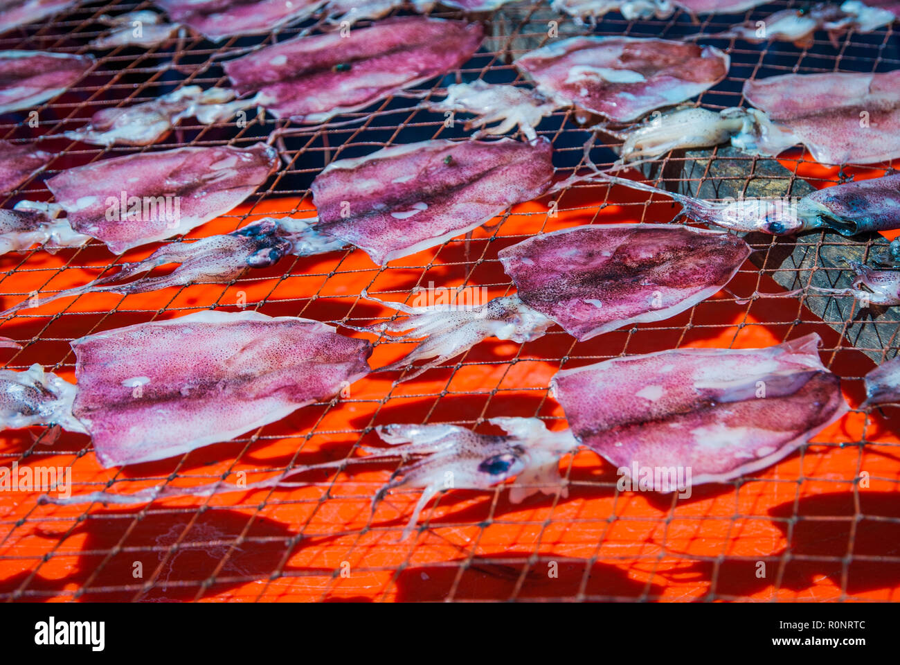 Fish drying on frame hi-res stock photography and images - Alamy