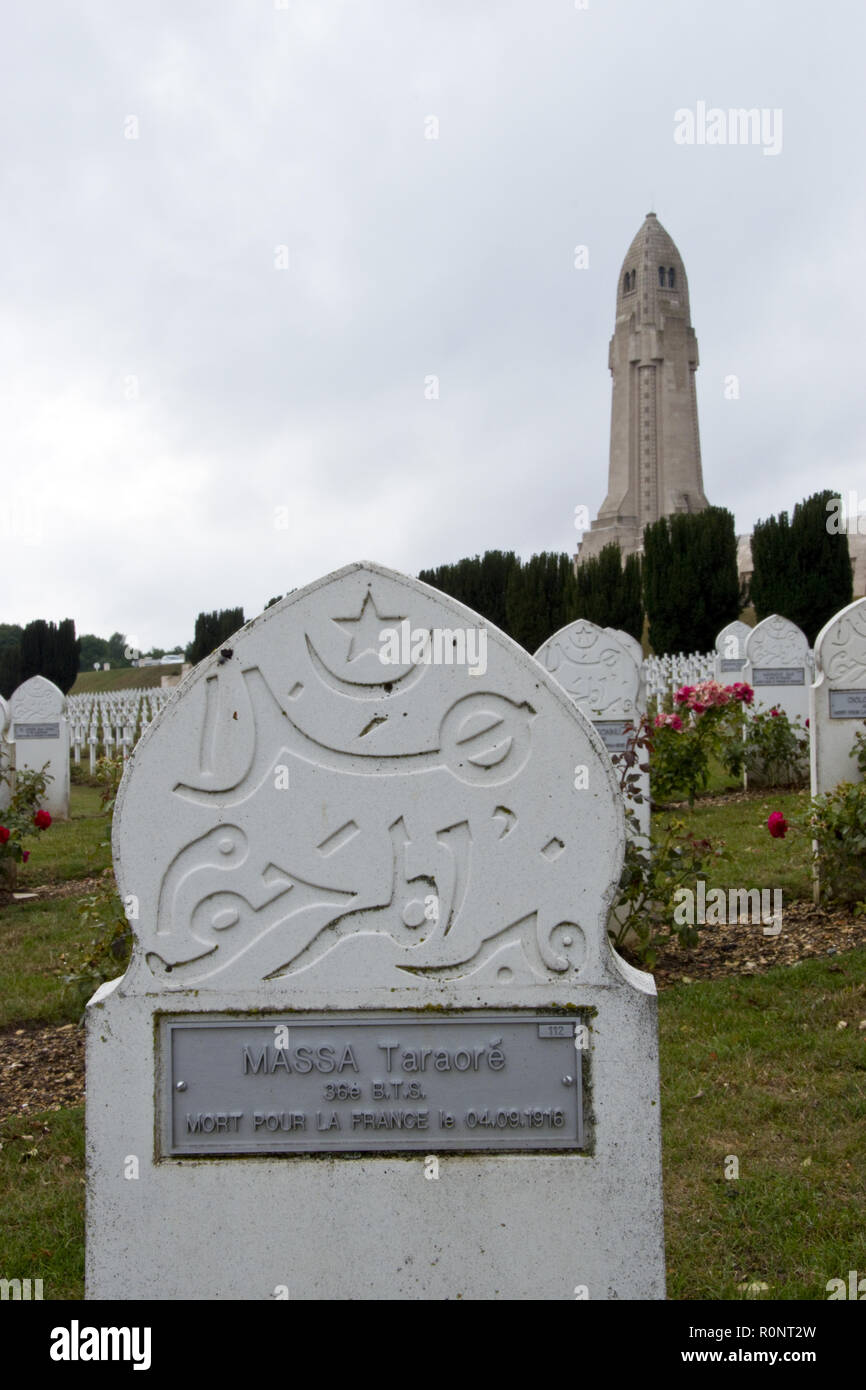 Battle of verdun bones hi-res stock photography and images - Alamy