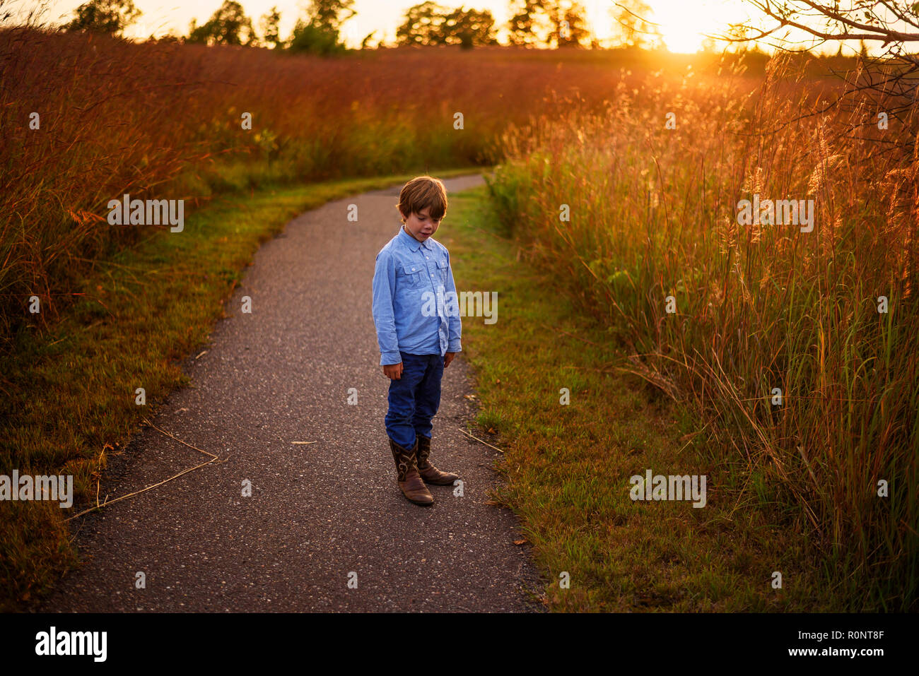 Boy standing on a trail by a field at sunset, United States Stock Photo ...