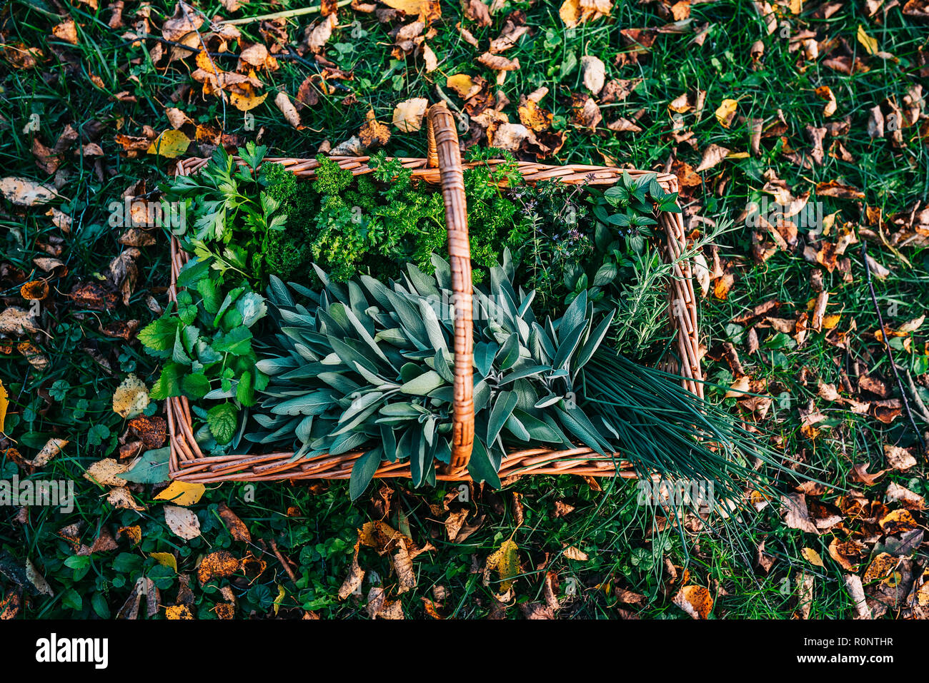 Herbs garden basket hi-res stock photography and images - Alamy