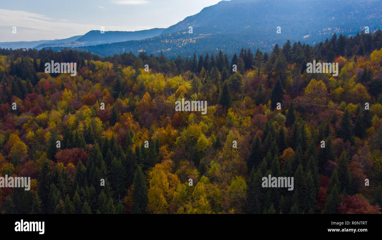 Fall forest on Trebevic mountain, Sarajevo, Bosnia and Herzegovina ...