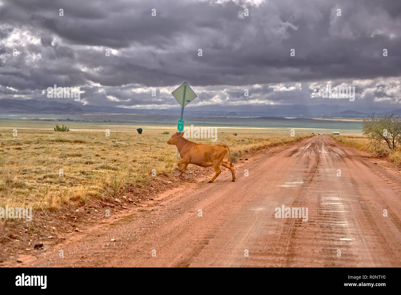 Perkinsville road hi-res stock photography and images - Alamy