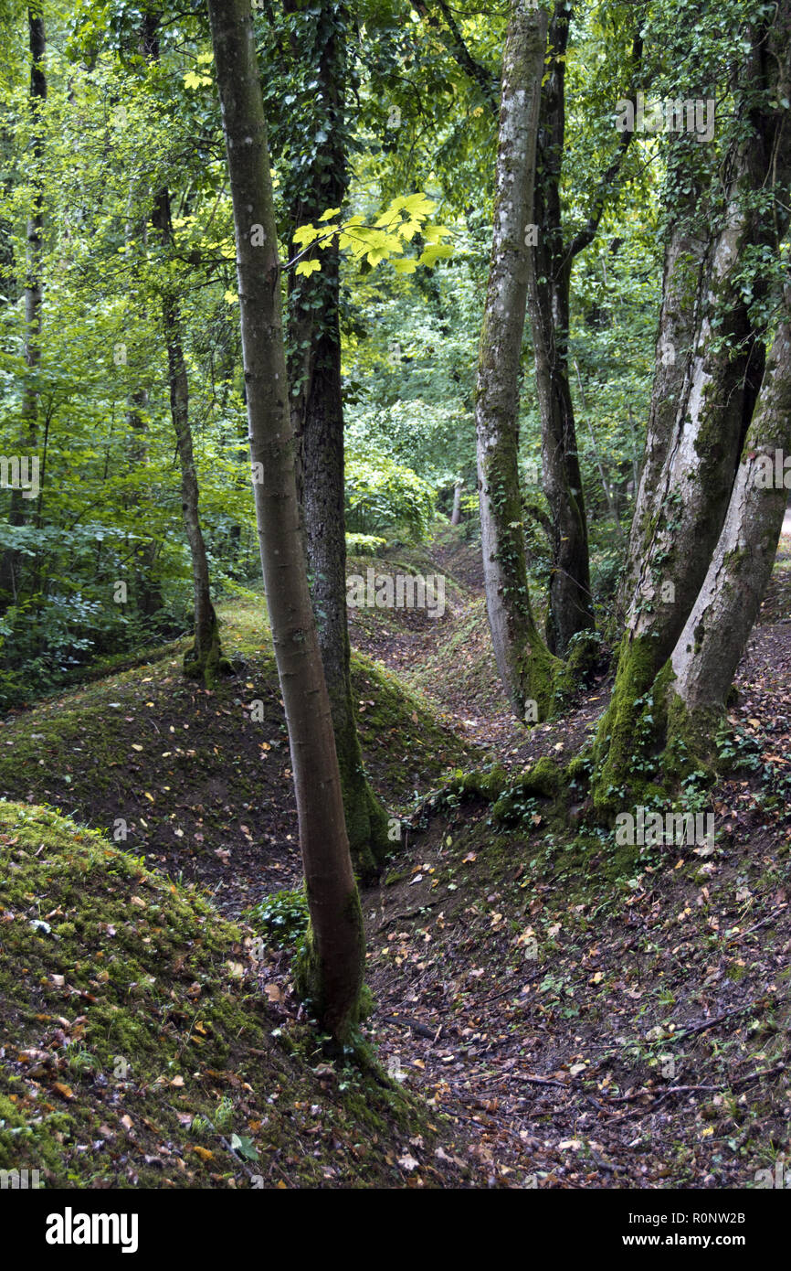 World war one remnants hi-res stock photography and images - Alamy