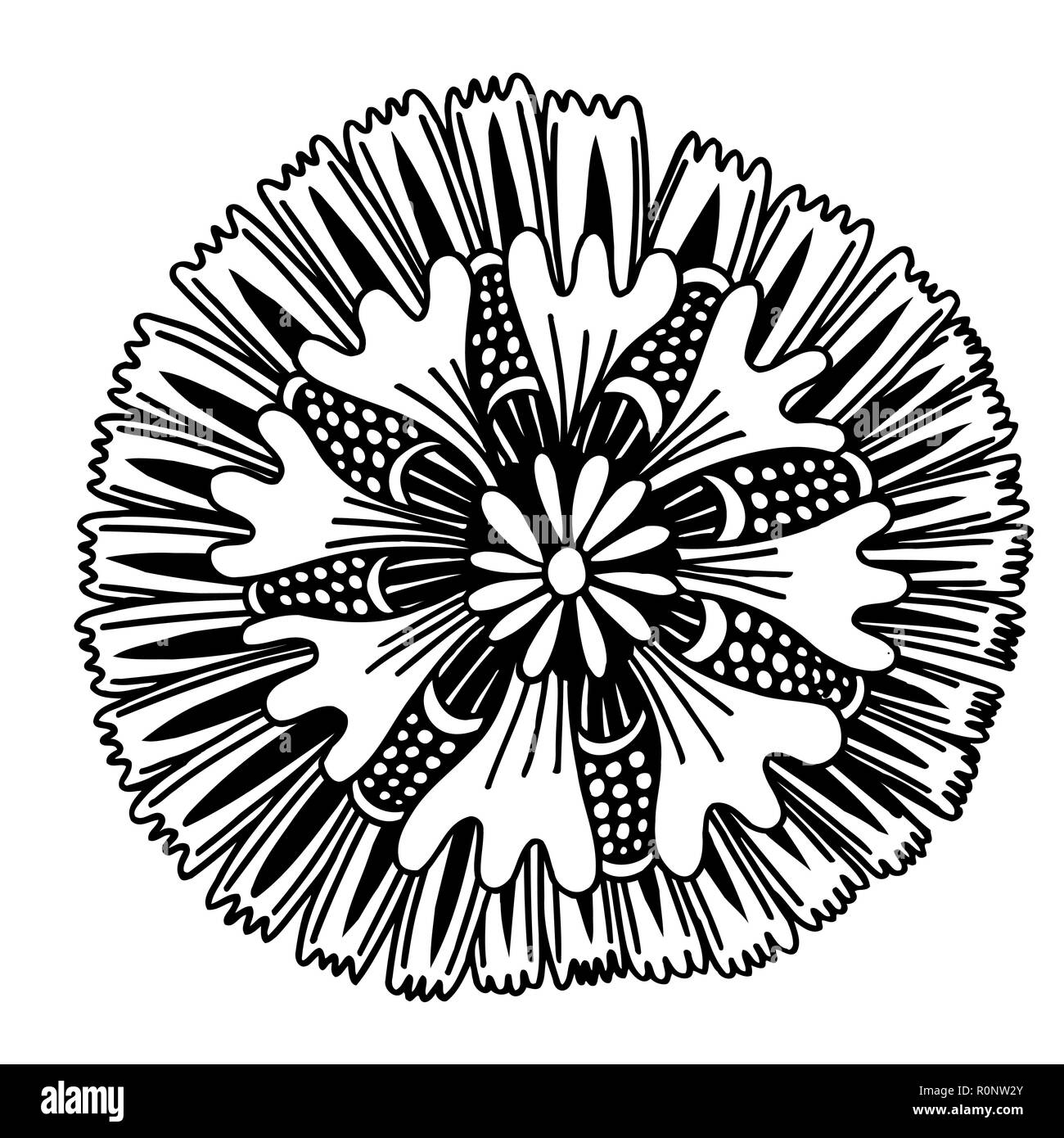 Radial Balance Flower Drawing
