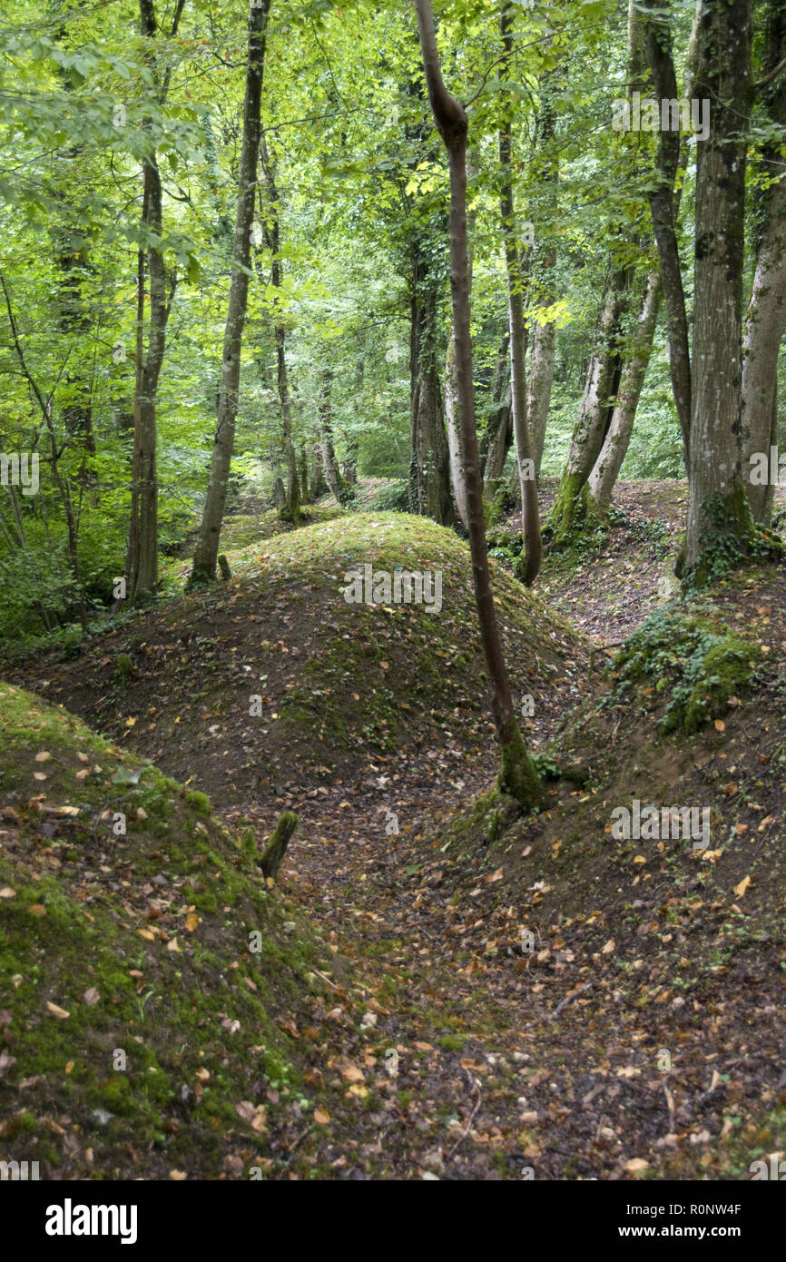 Remnants of World War One trenches from the Battle of Verdun, France ...