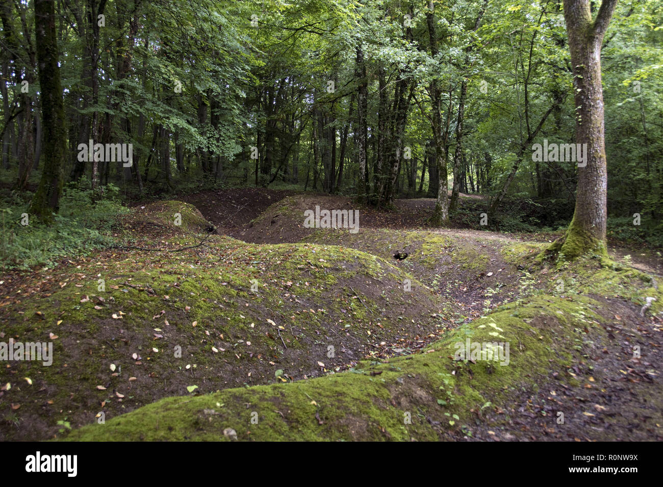 Western Front Ww1 Battlefield Tour Stock Photos & Western Front Ww1 ...