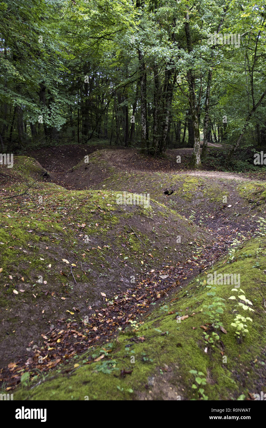 Remnants of World War One trenches from the Battle of Verdun, France ...