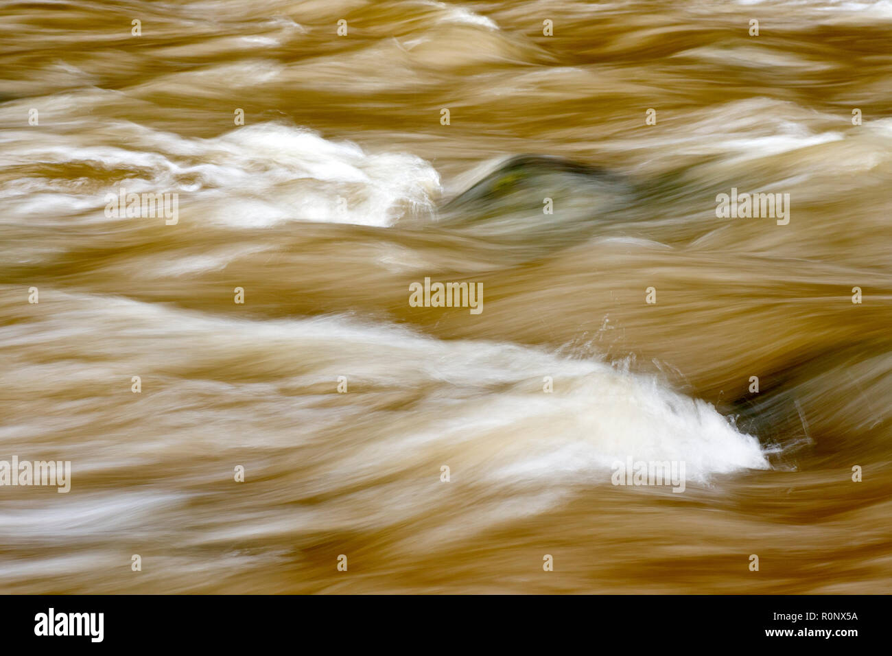 Fast shutter speed shot hi-res stock photography and images - Alamy