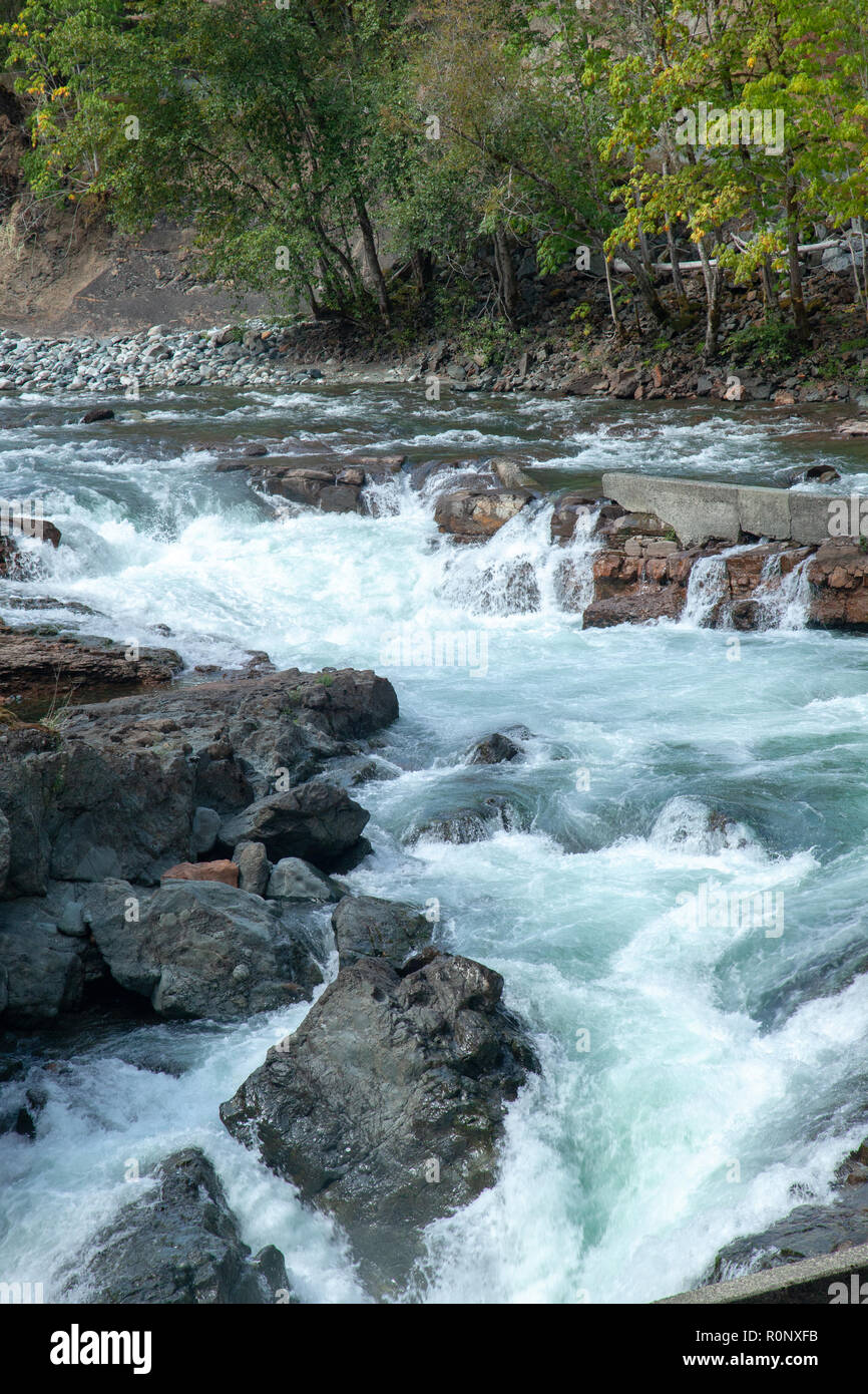 Stamp river provincial park hi-res stock photography and images - Alamy