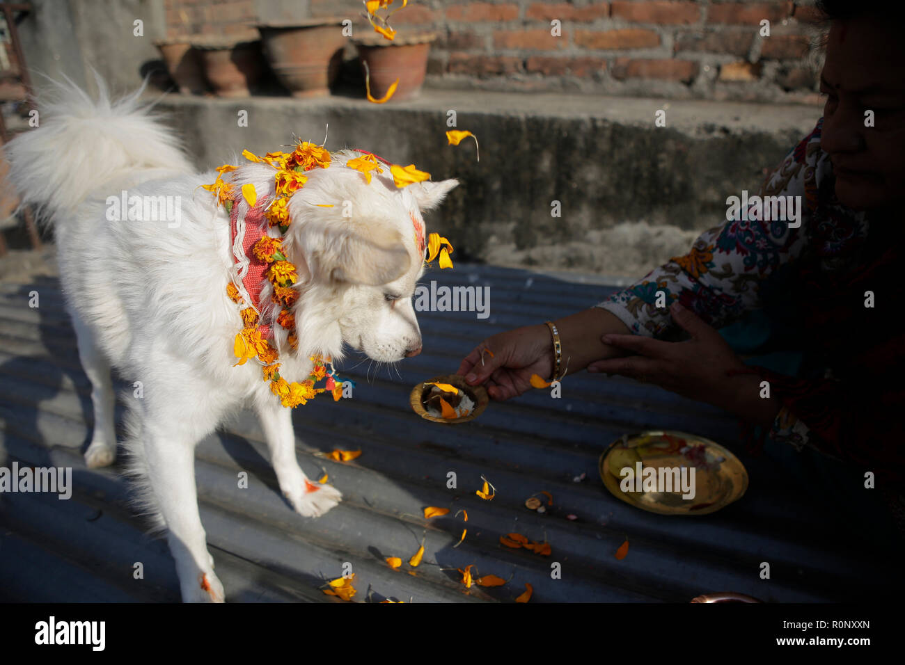 Kukur tihar hi-res stock photography and images - Alamy