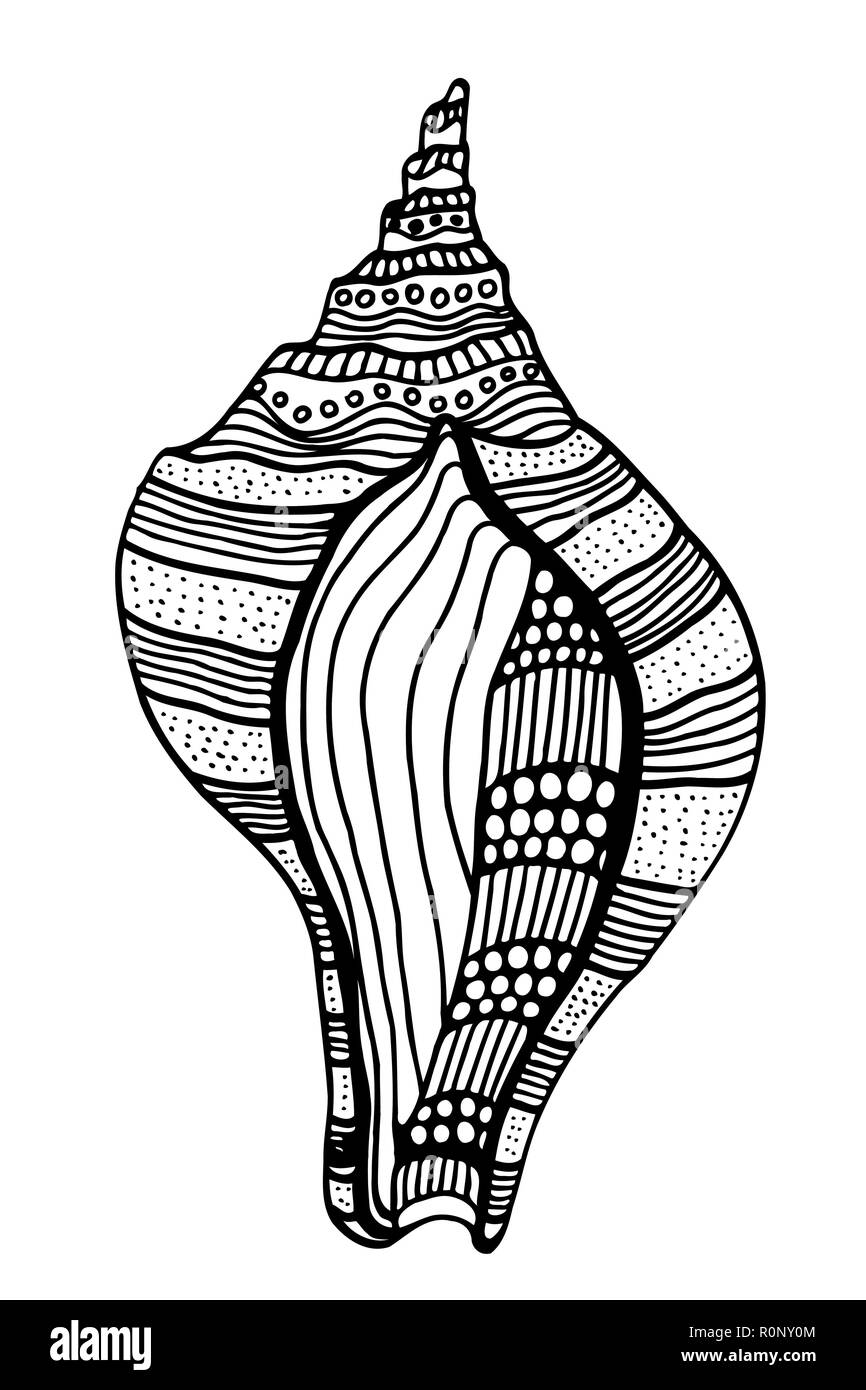 Zentangle stylized shell. Hand Drawn aquatic doodle vector illustration ...