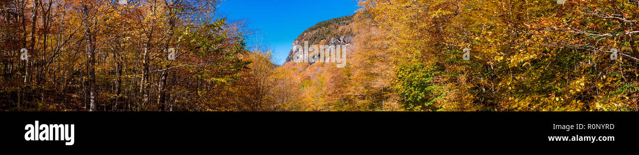 Fall in vermont abstract hi-res stock photography and images - Alamy