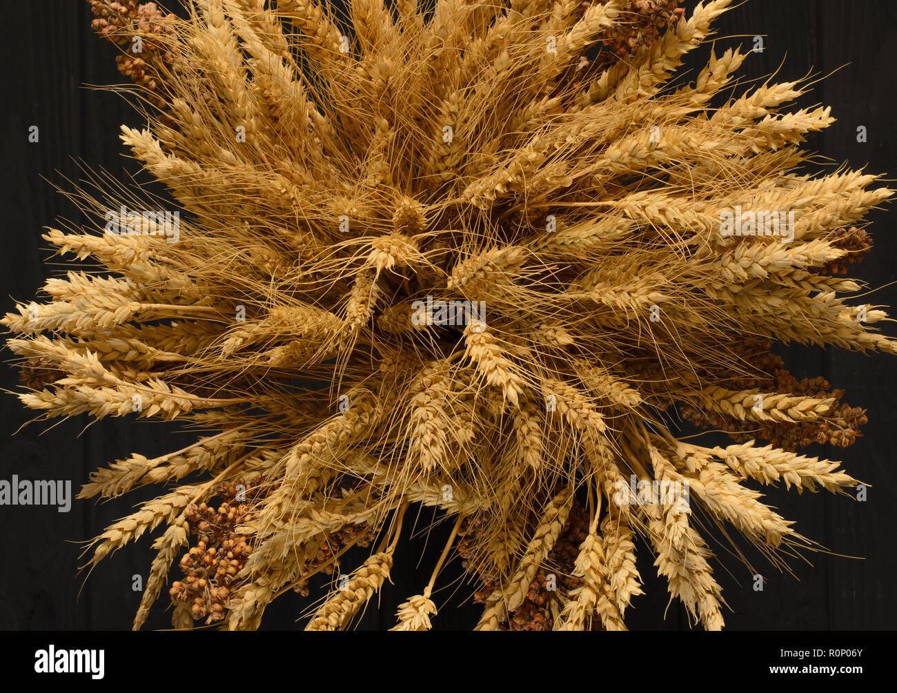 Ears of Wheat, rye, millet pshenici assembled in bouquet Stock Photo ...