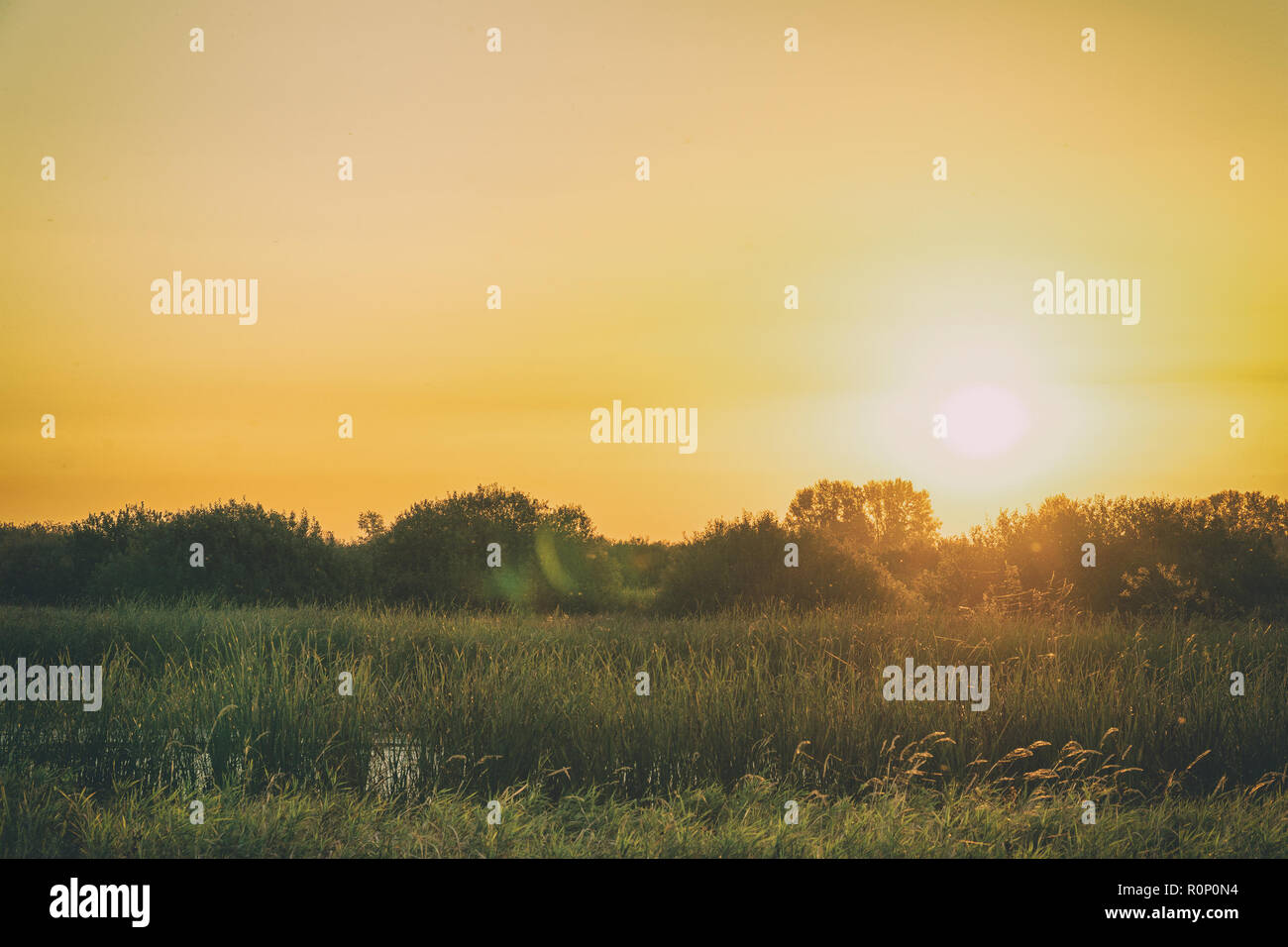 Sunrise over meadows on summer morning Stock Photo - Alamy