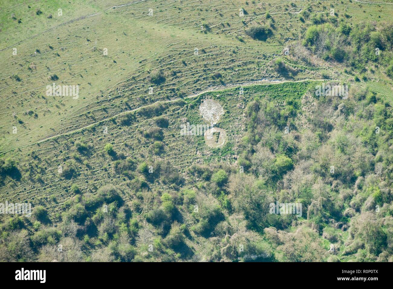 Chalk military badge of the 7th (City of London) Battalion, near Sutton ...
