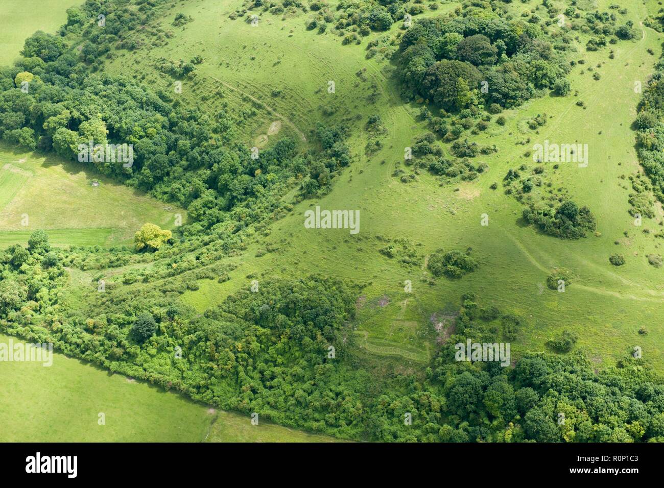 Chalk military badges near Sutton Down, Wiltshire, 2016. Creator ...