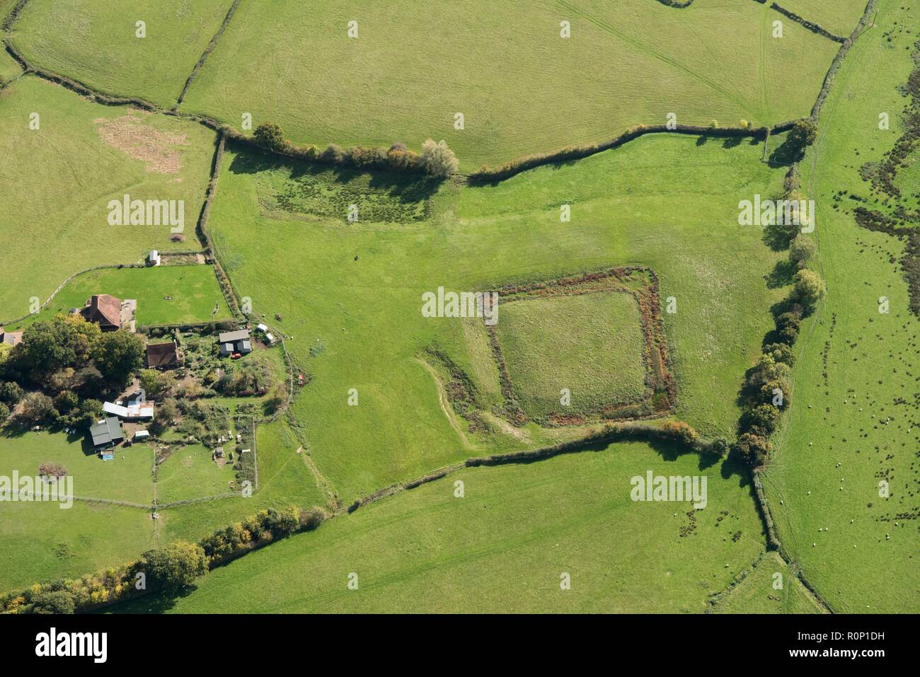 Medieval moated site and adjacent hythe, Lowden Farm, Kent, 2017 ...