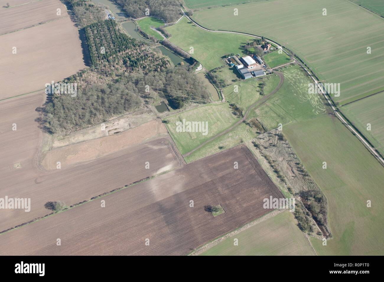 The site of Risby Hall and the medieval settlement of Risby, East ...