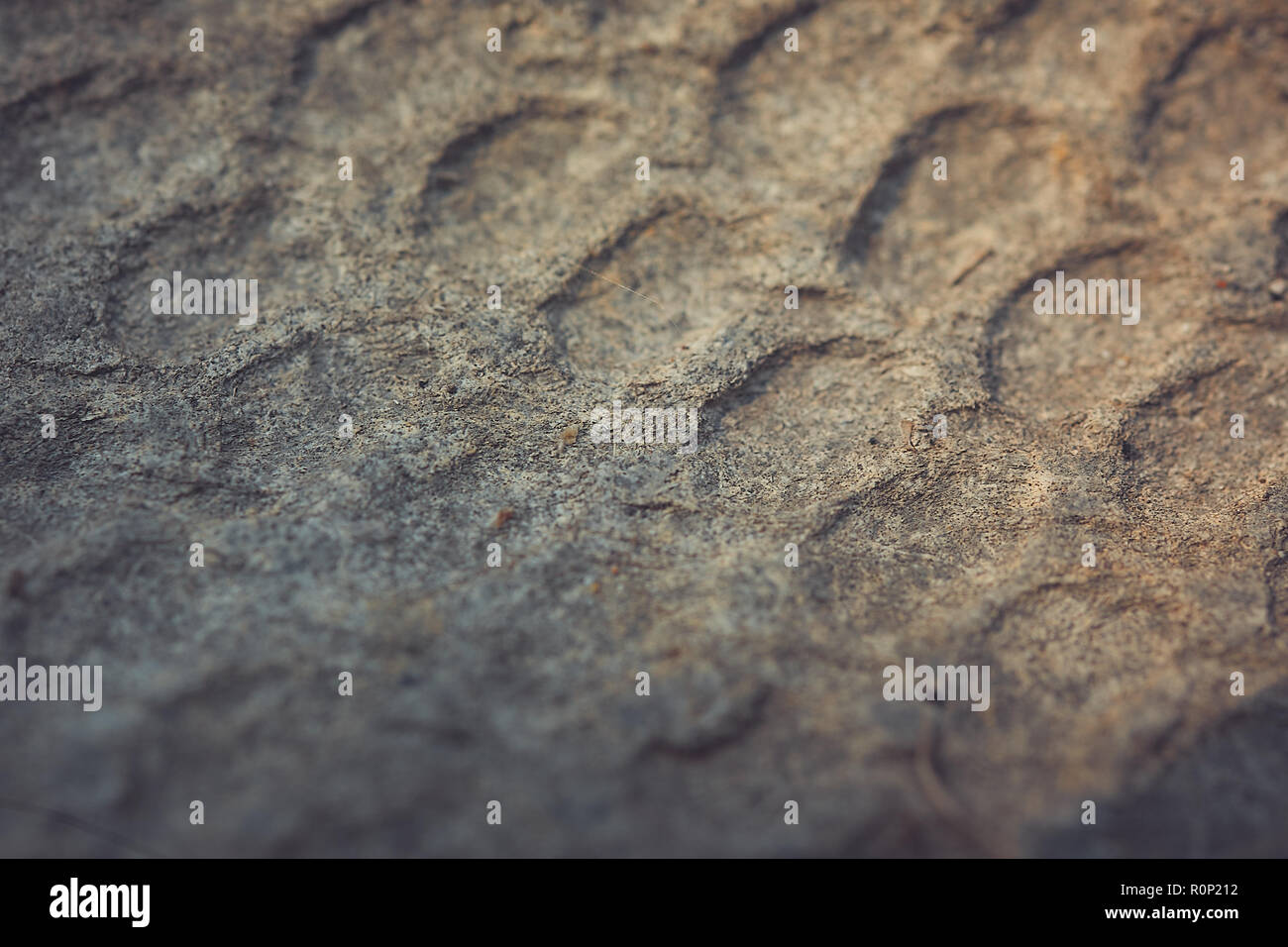 Table slate background close up at high resolution Stock Photo - Alamy