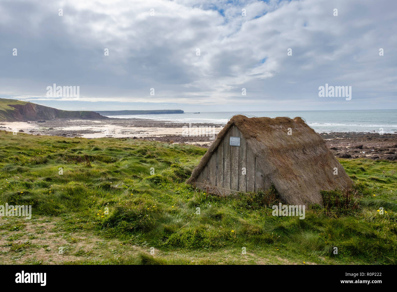 SEAWEED DRYING HUT FRESHWATER WEST PEMBROKESHIRE Stock Photo - Alamy