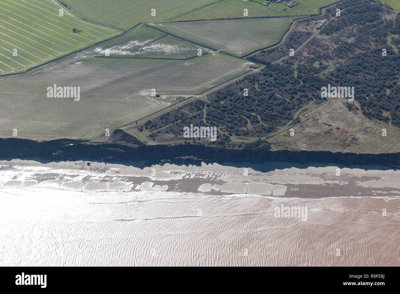 Coastal erosion, Cowden Cliff, East Riding of Yorkshire, 2014. Creator ...