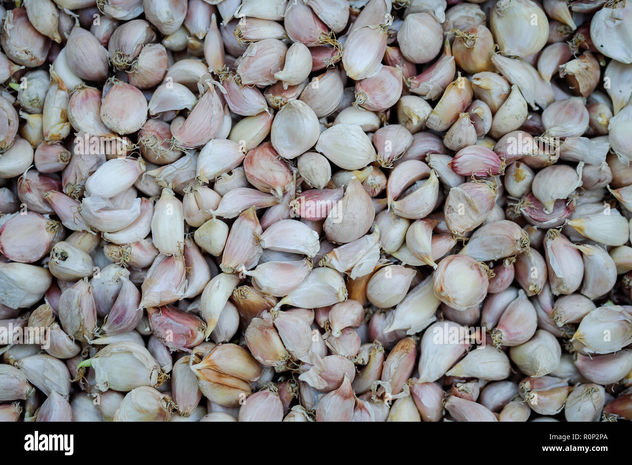 garlic close up background Stock Photo - Alamy