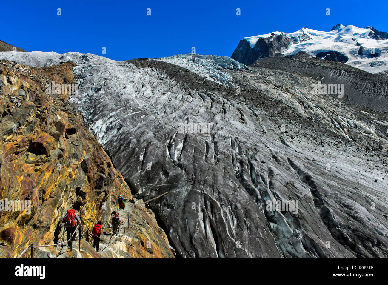 Alpinists descending on the Gorner Glacier on the way to the Monte Rosa ...